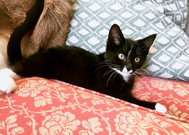 How to Hem Curtains and Why It’s Better Than Iron-On Tape – Land of Laurel