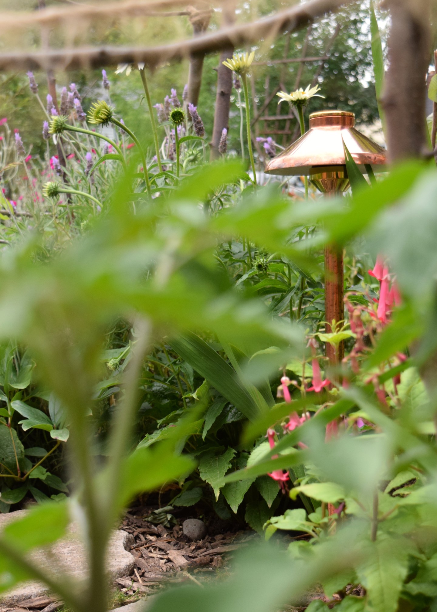 Adding Landscape Lighting (a.k.a Magic!) to the Cottage Garden with ...