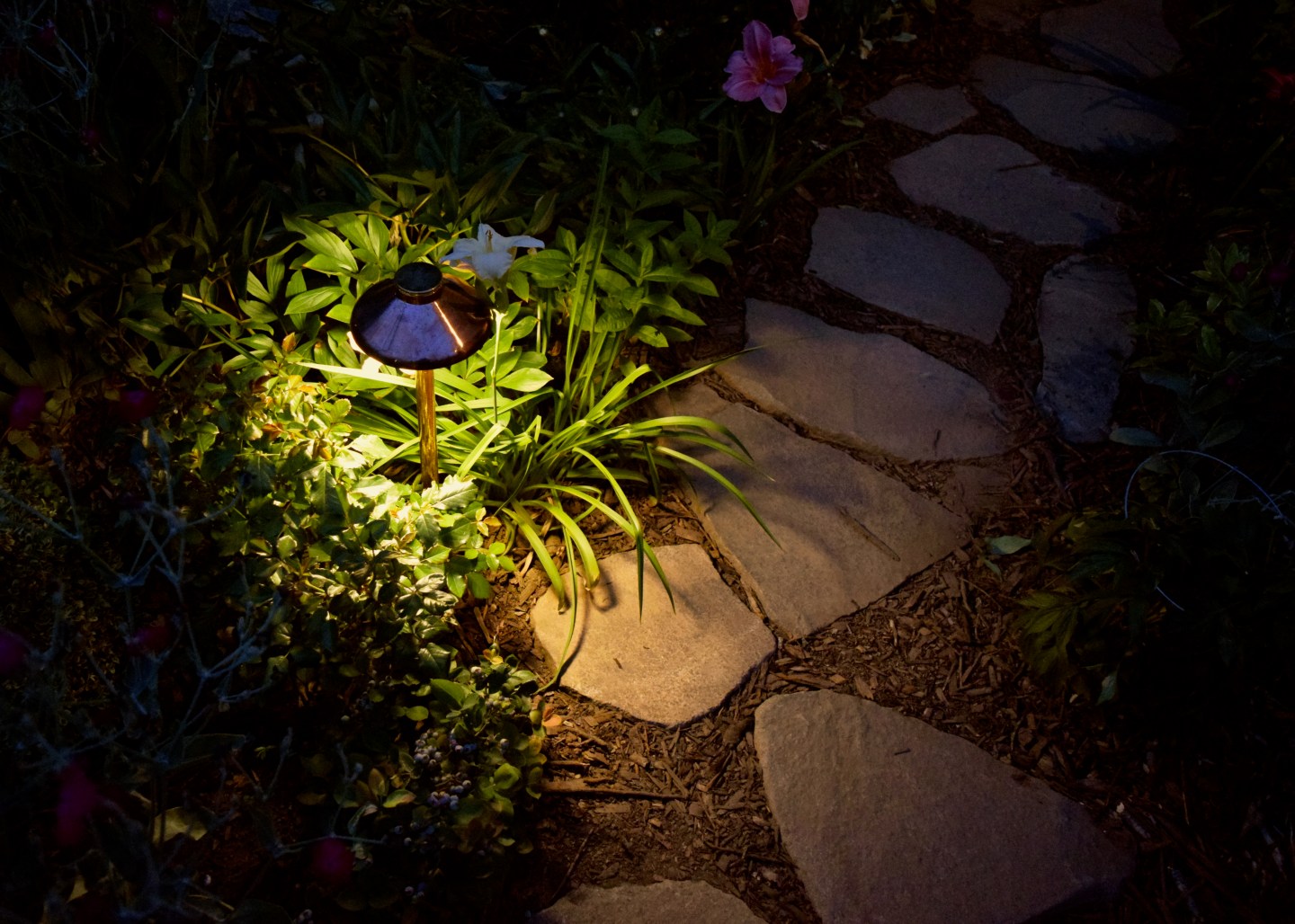 Adding Landscape Lighting (a.k.a Magic!) to the Cottage Garden with ...